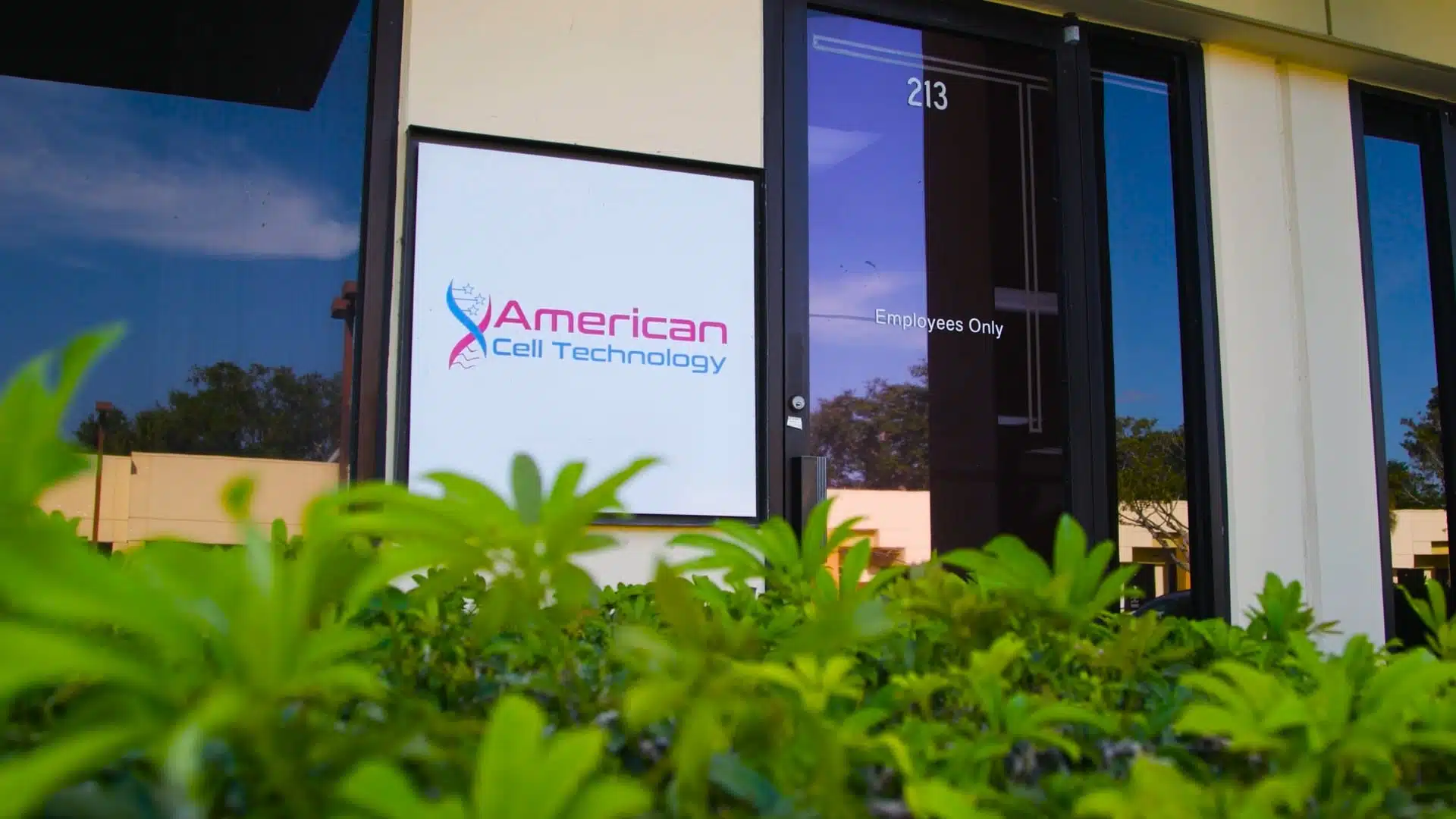 Inside the Stem Cell Banking Process: A Behind-the-Scenes Look ...